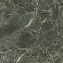 Caesar Anima Wonder Forest (prijs per doos) | Stone Company Webshop